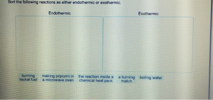 Solved Sort the following reactions as either endothermic or | Chegg.com