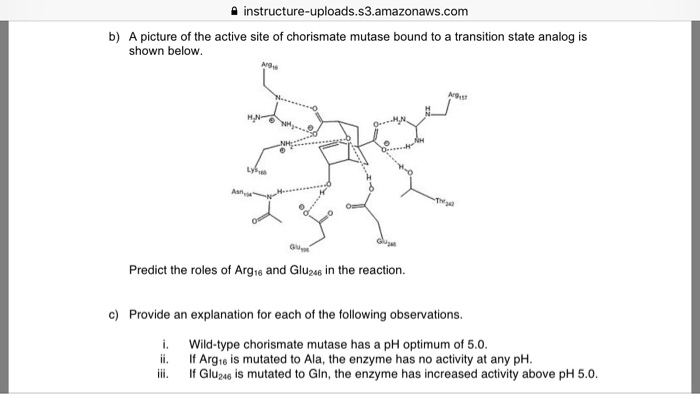 Solved instructure-uploads.s3.amazonaws.com b) A picture of | Chegg.com