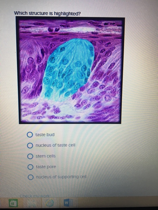 Biology Archive | May 08, 2017 | Chegg.com