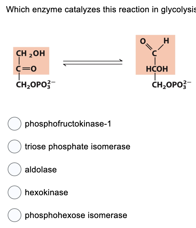 Solved Which enzyme catalyzes this reaction in glycolysis | Chegg.com