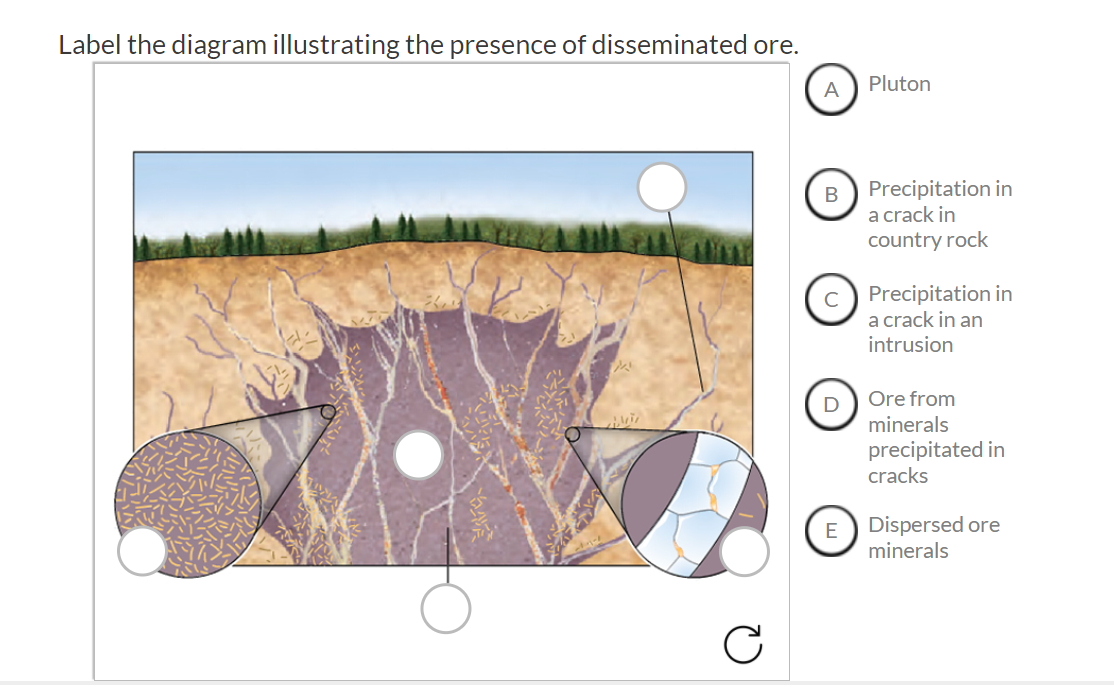 Solved Label the diagram illustrating the presence of | Chegg.com