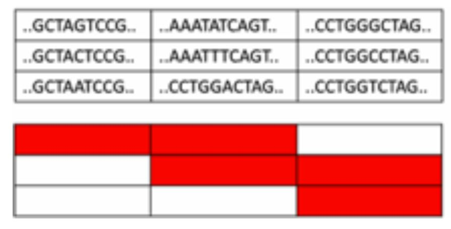 Solved Nine features of a GWAS array are shown below, as | Chegg.com