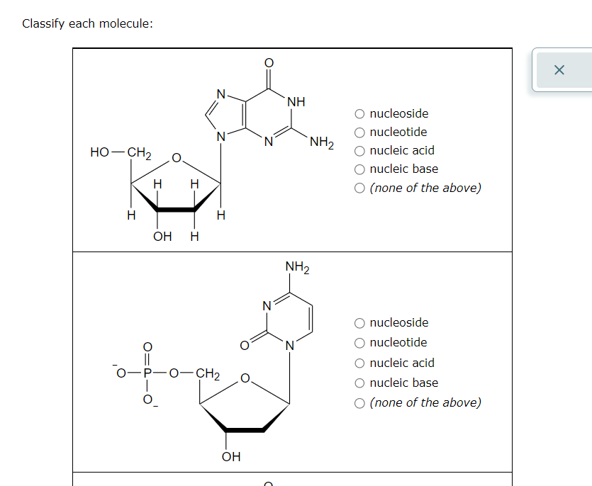 Solved Classify each molecule: Х N NH N N NH2 HO-CH2 | Chegg.com