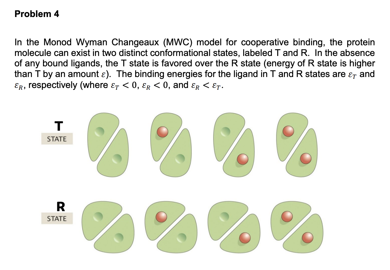 Problem 4 In the Monod Wyman Changeaux (MWC) model | Chegg.com