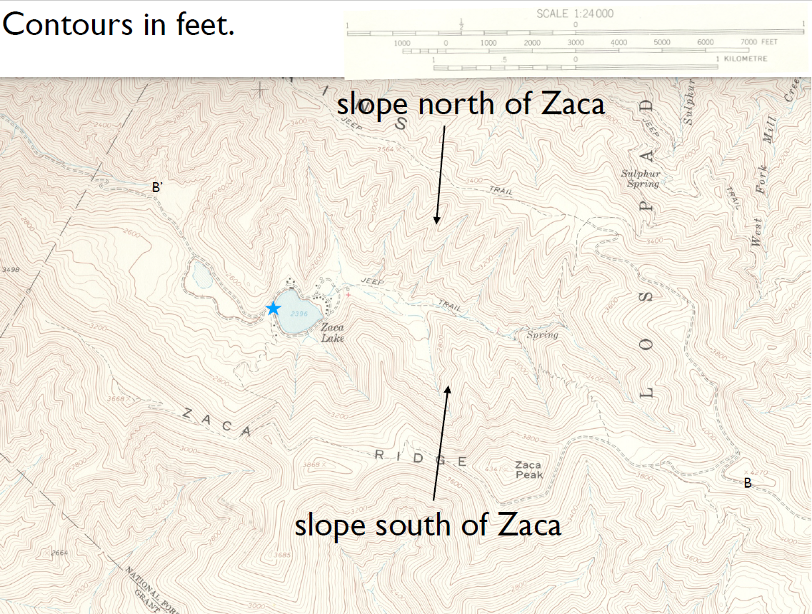 Solved Describe and explain the difference in the pattern of | Chegg.com