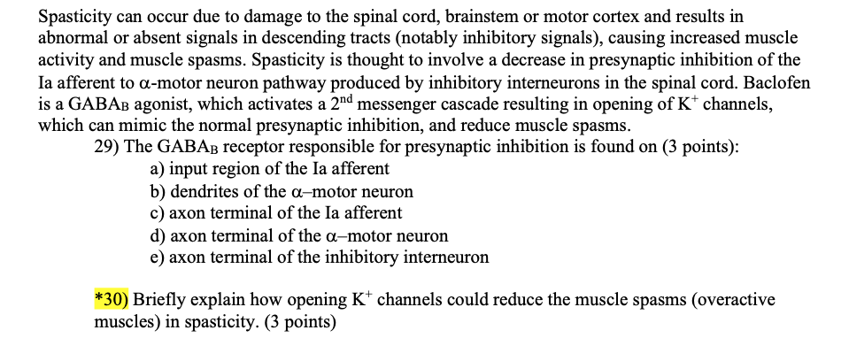 Solved The GABAB receptor responsible for presynaptic | Chegg.com