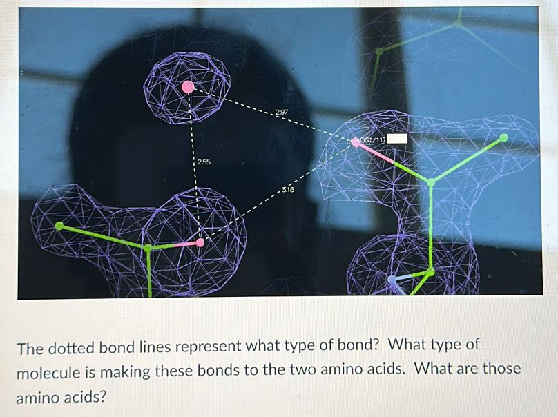 Solved The dotted bond lines represent what type of bond? | Chegg.com