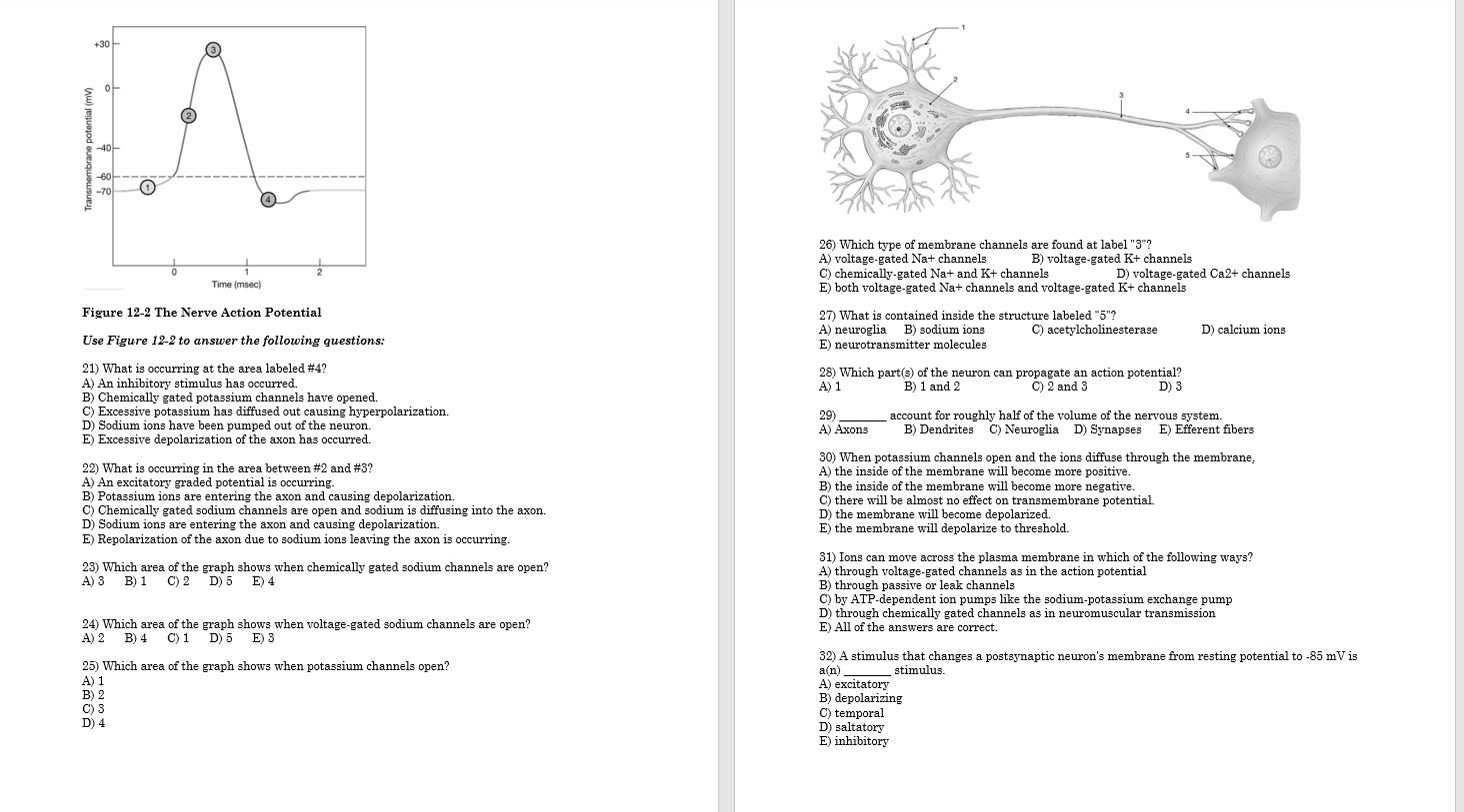 Solved Figure 12-2 The Nerve Action Potential Use Figure | Chegg.com Solved Figure 12-2 The Nerve Action Potential Use Figure | Chegg.com