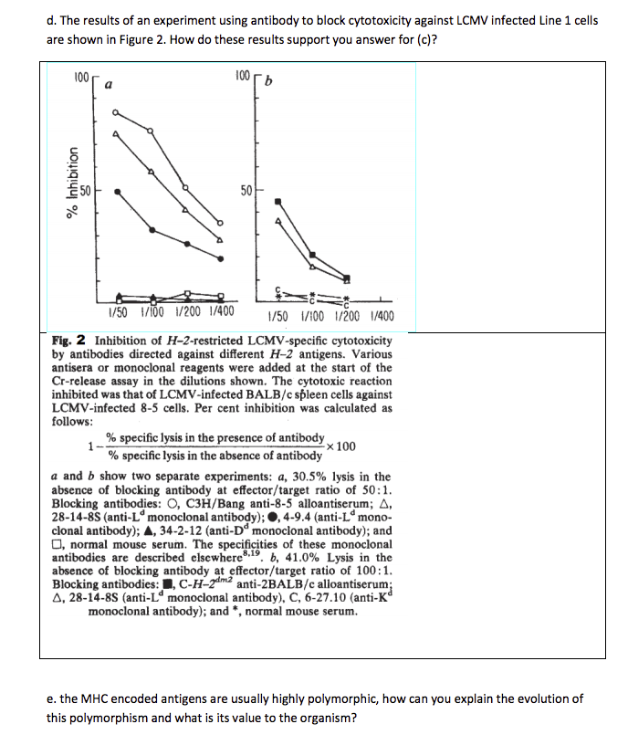 2. In this experiment, mouse fibroblasts known as L | Chegg.com