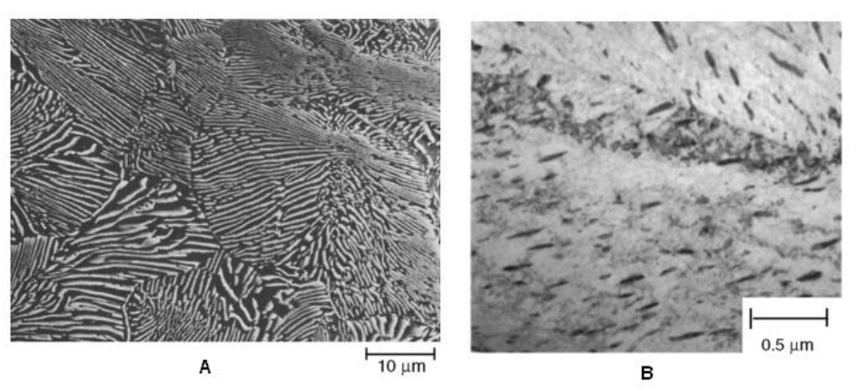 Solved From the following images of a hypoeutectoid carbon | Chegg.com