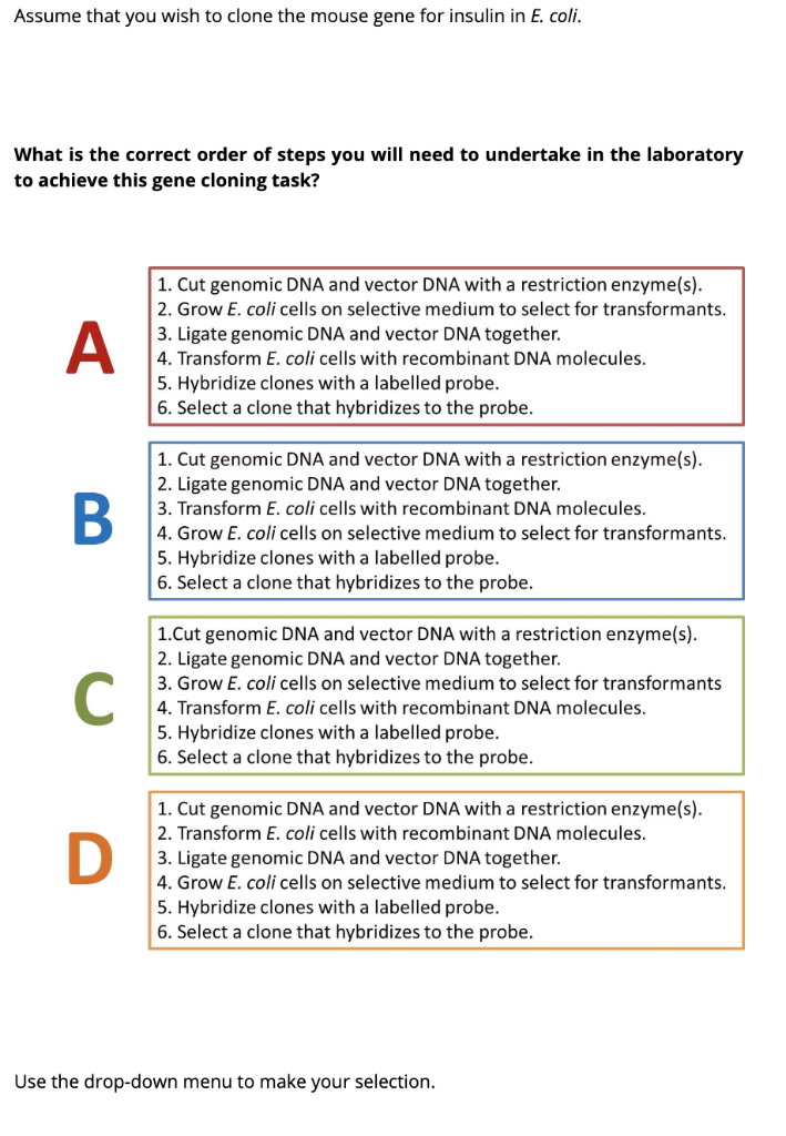 Solved Assume that you wish to clone the mouse gene for | Chegg.com