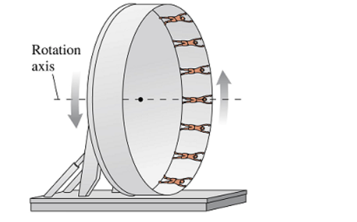 Solved In the carousel ride shown below, a 62kg rider moves | Chegg.com