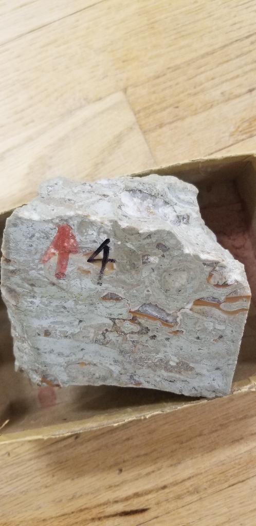 Solved 1)Classify the rock based on dunham and folk | Chegg.com