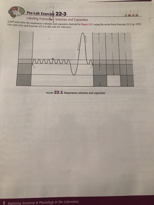 Solved s Transport and Et Section PRE-LAB EXERCISES Complete | Chegg.com
