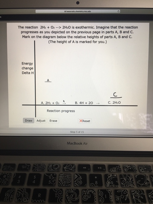 Solved The reaction 2H2 O2 --2H20 is exothermic. Imagine | Chegg.com