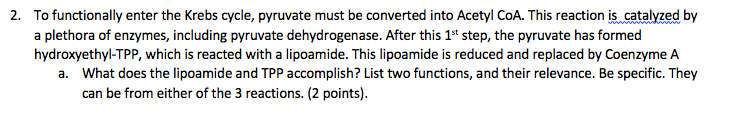 Solved To functionally enter the Krebs cycle, pyruvate must | Chegg.com