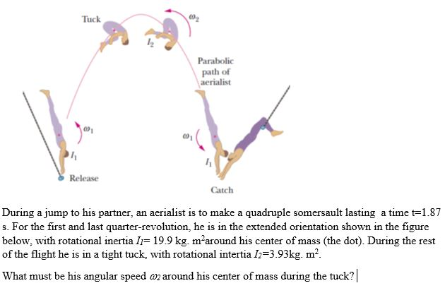 Solved Turt Parabolic path of aerialist Release Catch During | Chegg.com