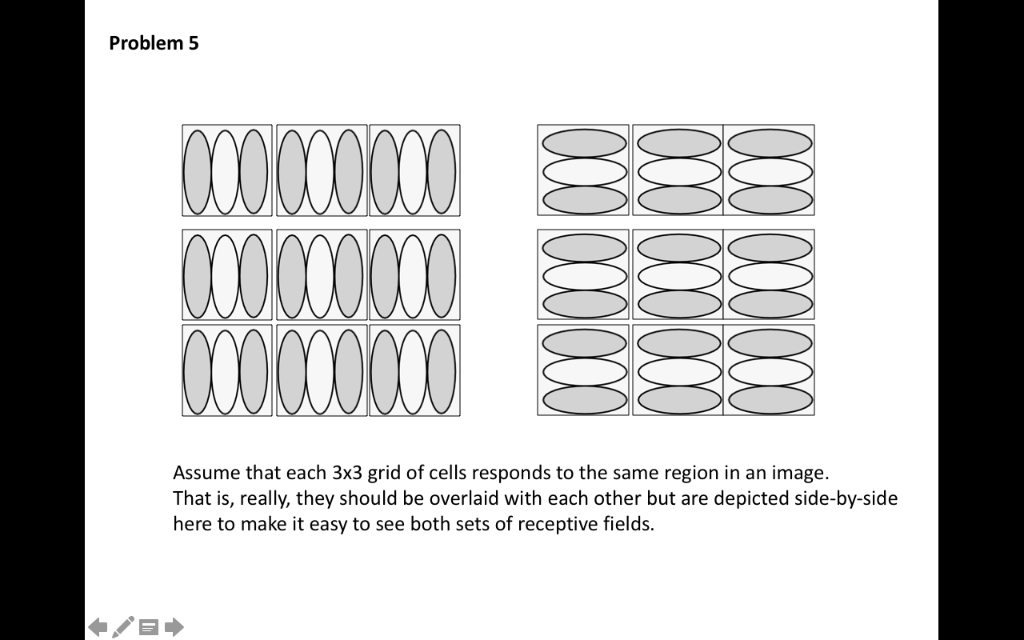 Using the V1 simple cells depicted in the figure, | Chegg.com