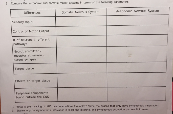 Diagram Compare Somatic Motor And Autonomic Nervous Systems