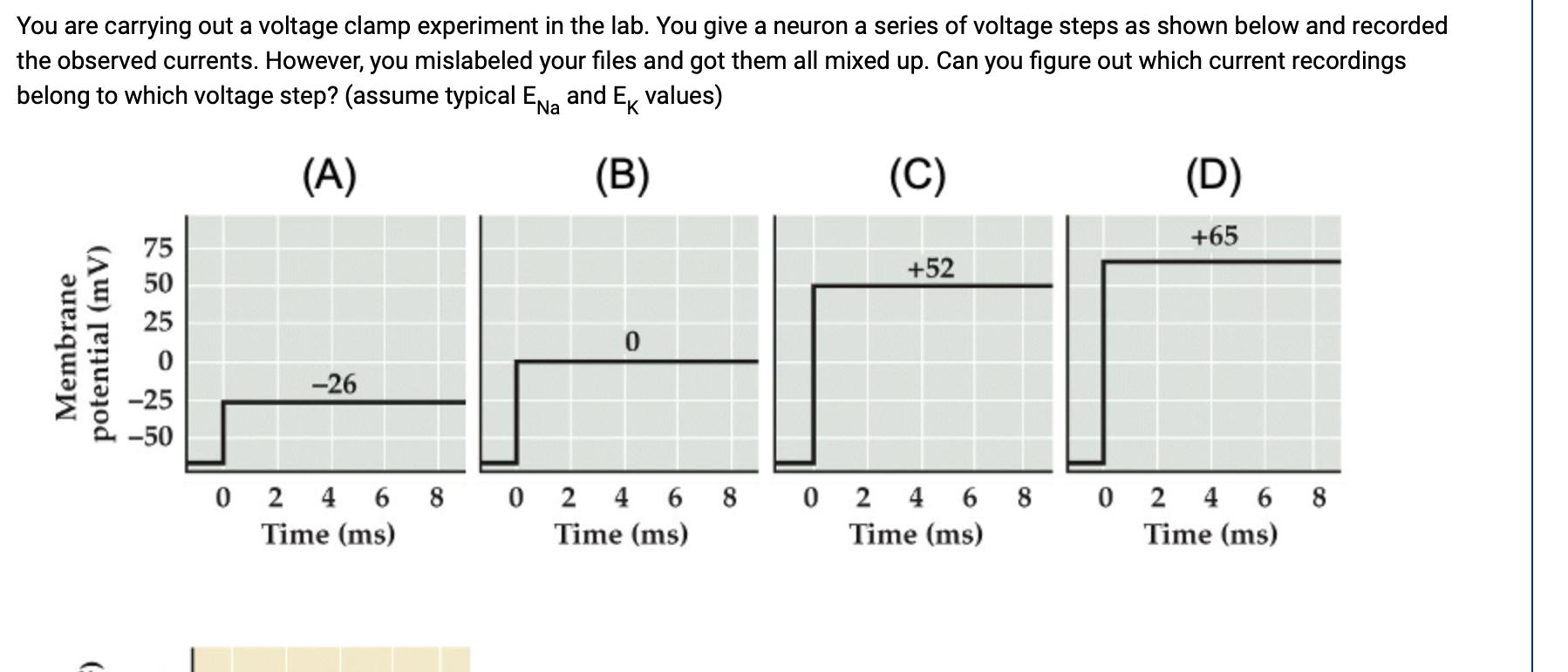 Solved You are carrying out a voltage clamp experiment in | Chegg.com