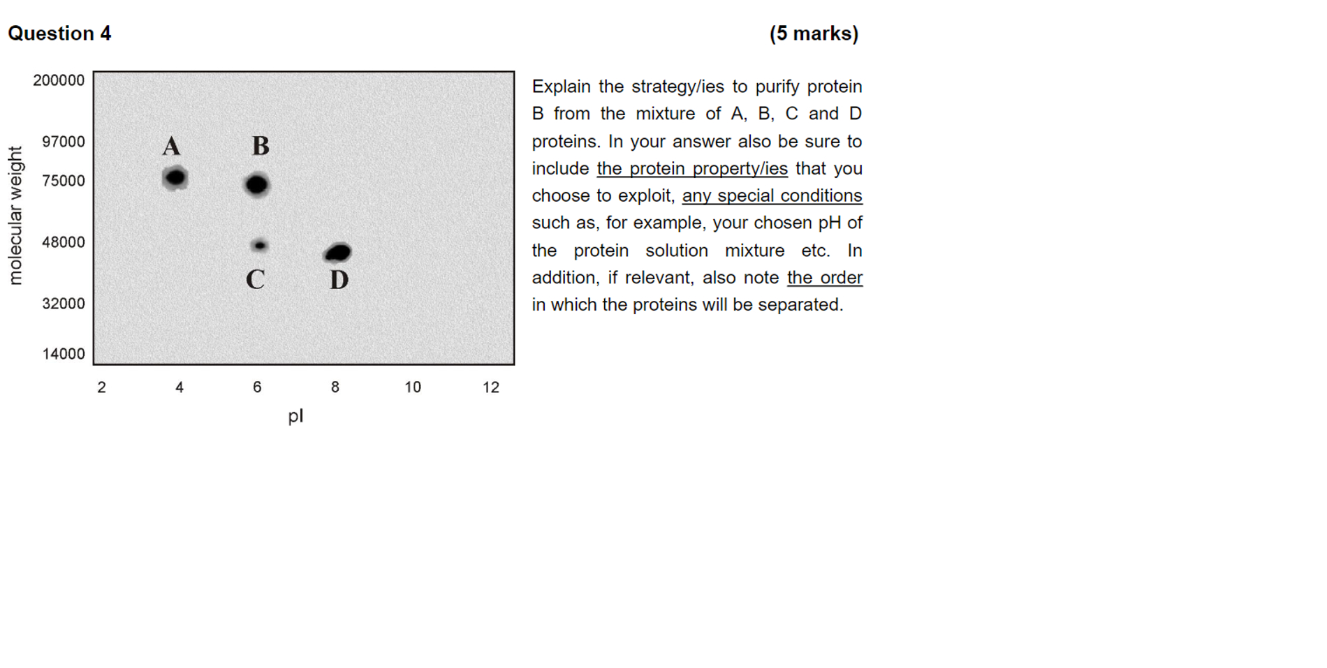Question 4(5 ﻿marks)Explain the strategy/ies to | Chegg.com