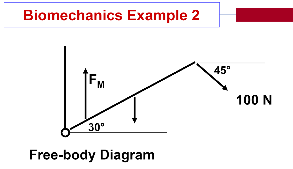 Unit 7: Biomechanics Activity: Biomechanics • The | Chegg.com