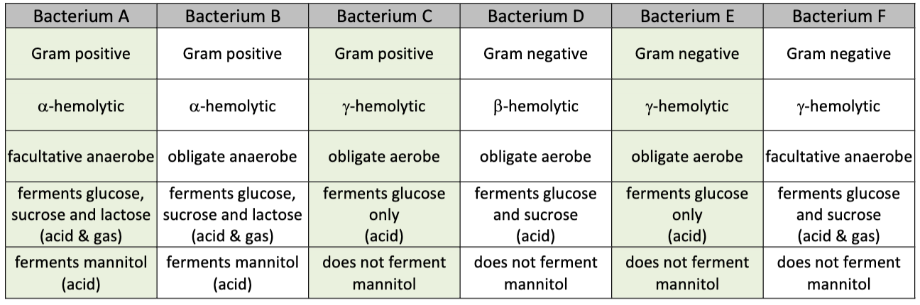 Solved Results from Blood Agar and MSA Plates Results | Chegg.com