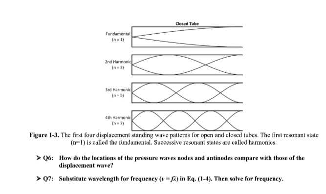 Closed Tube Fundamental (n = 1) 2nd Harmonic (n = 3) | Chegg.com