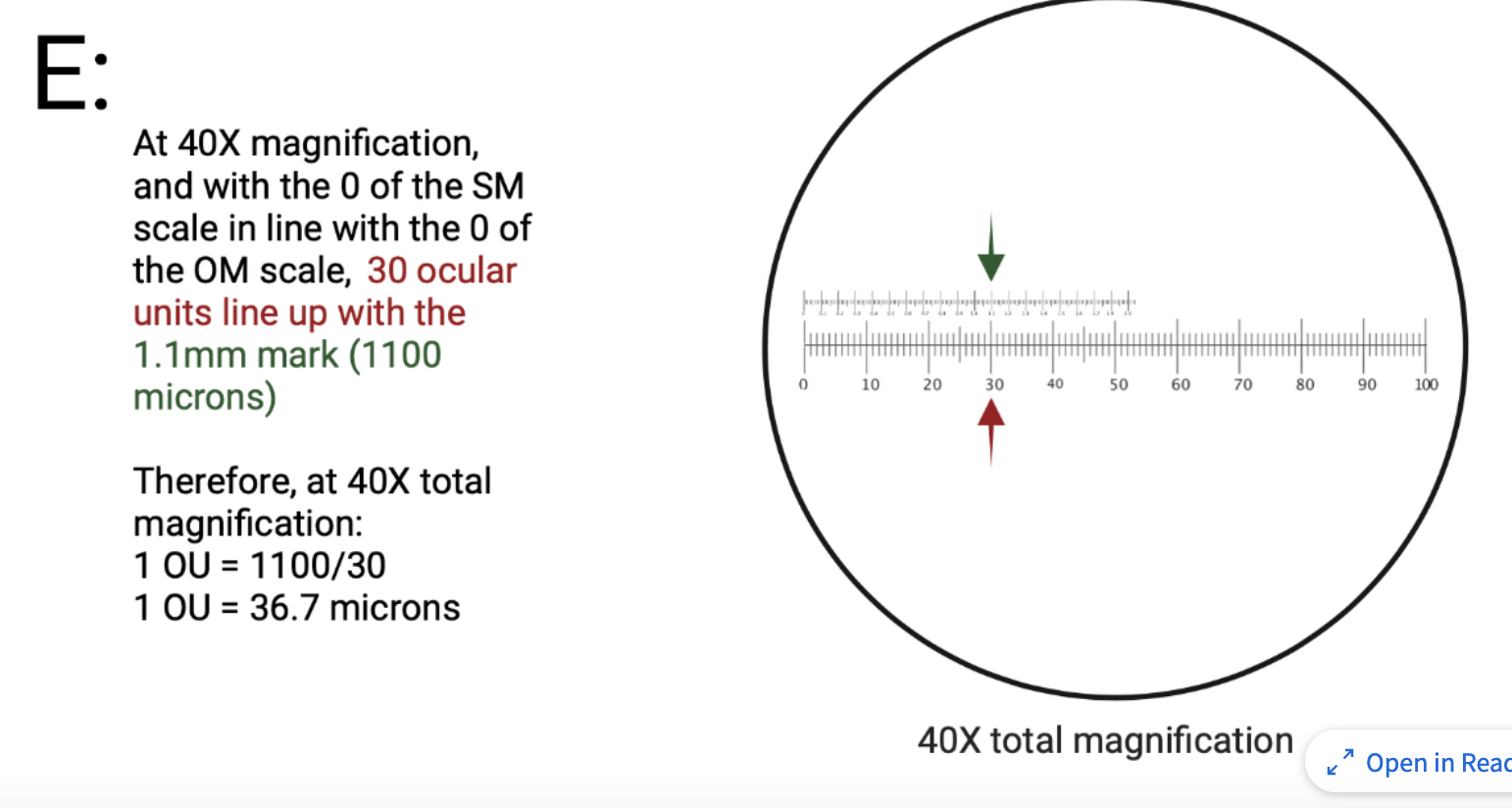 Solved C: D: Ocular micrometer(OM) Ocular micrometer plus | Chegg.com