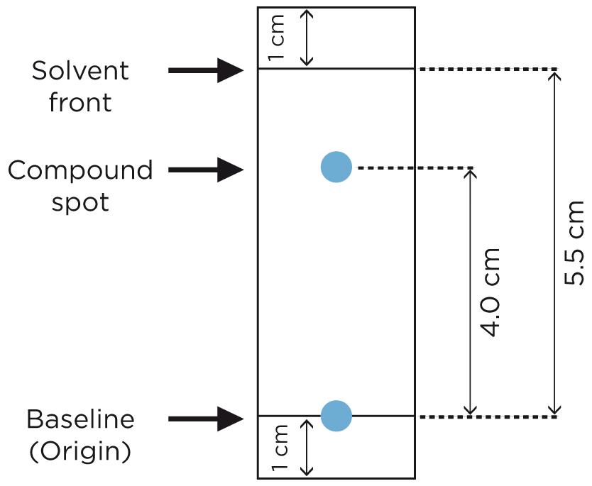 Solved 1 cm Solvent front Compound spot 5.5 cm 4.0 cm | Chegg.com