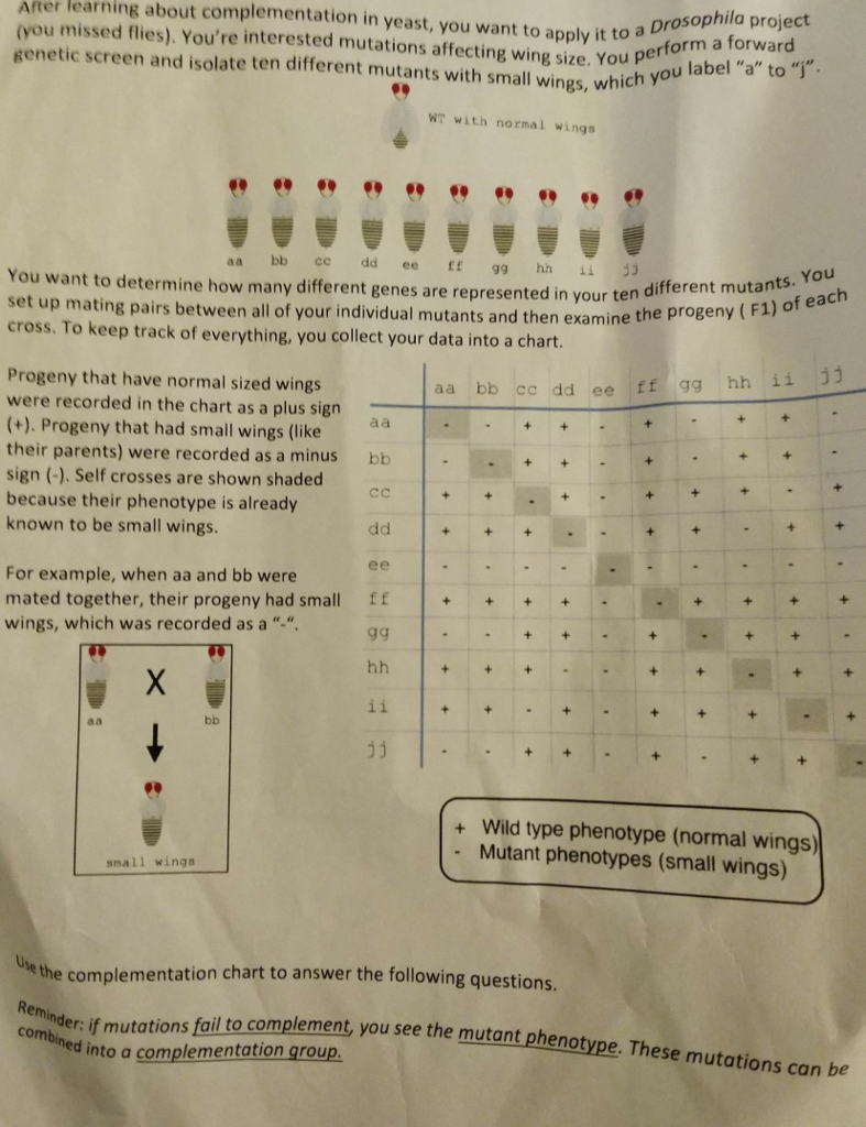 Solved complementation groups are present? (5 pts) a. How | Chegg.com