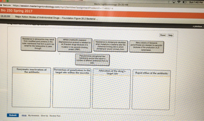 Solved Part D-Antibiotics That inhibit Protein Synthesis | Chegg.com