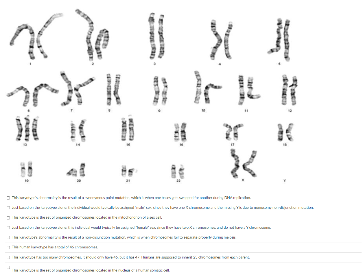 Solved Analyze the human karyotype below and select 4 | Chegg.com