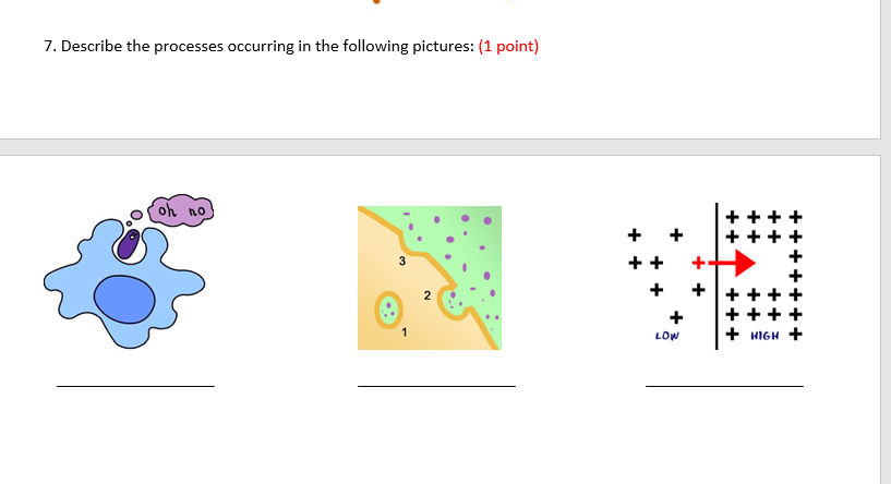 Solved 7. Describe the processes occurring in the following | Chegg.com