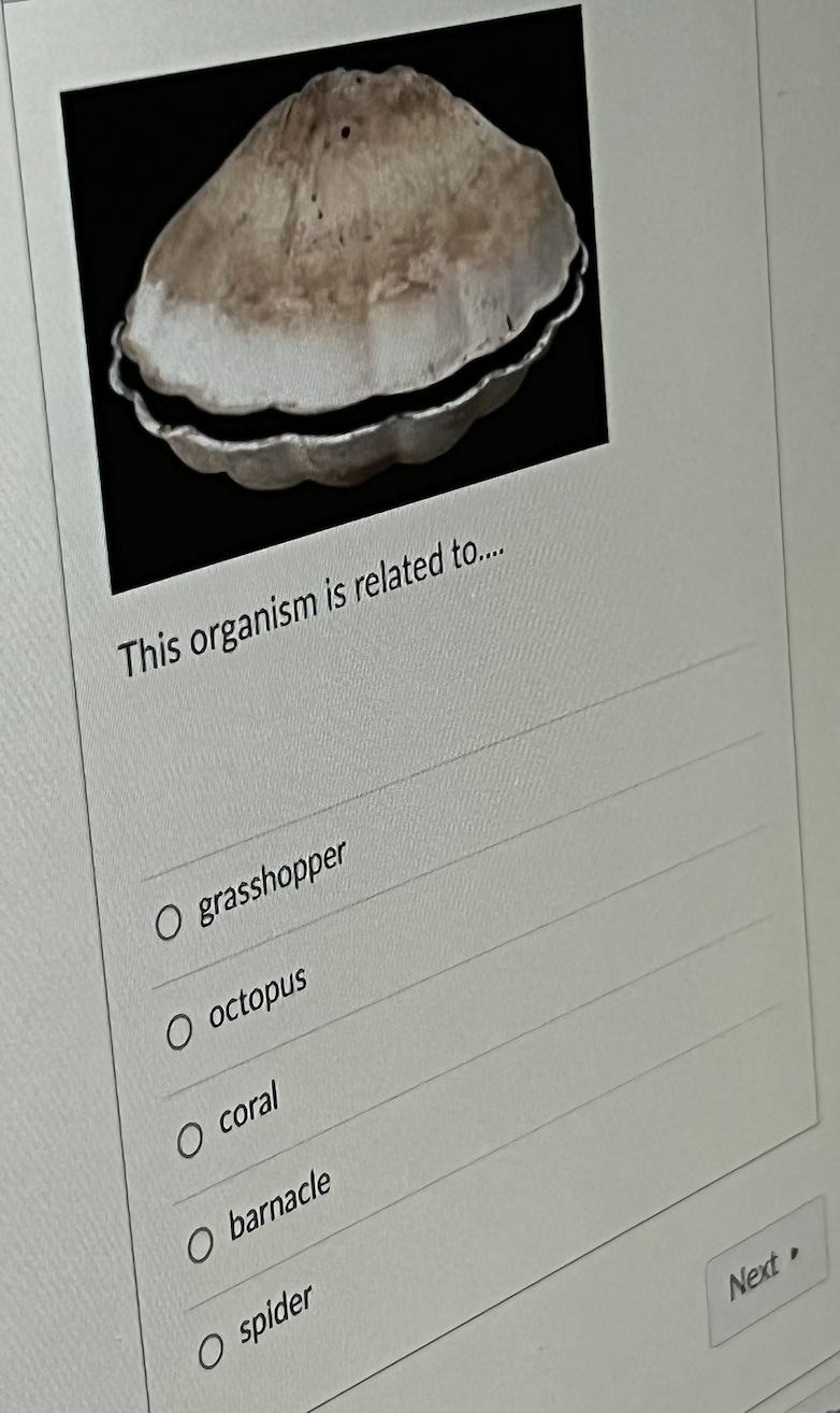 Solved This organism is related to.... O grasshopper o | Chegg.com