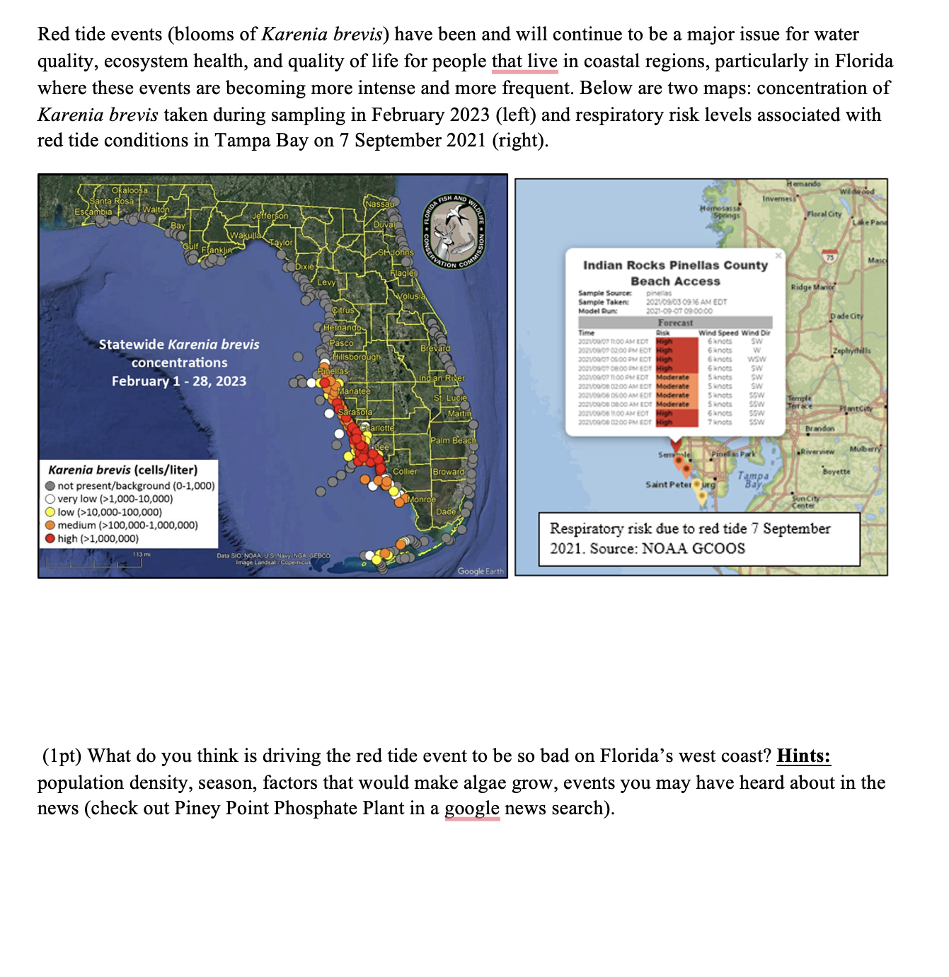 Solved Red tide events (blooms of Karenia brevis) ﻿have been | Chegg.com