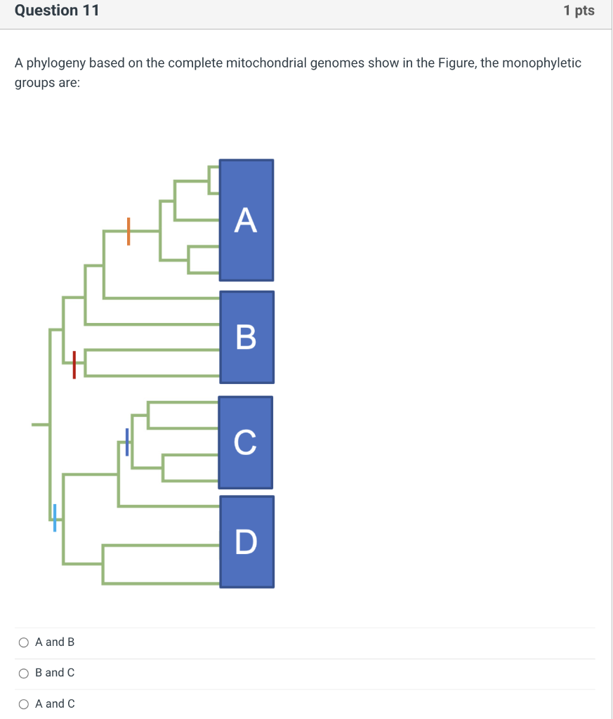 Solved A phylogeny based on the complete mitochondrial | Chegg.com