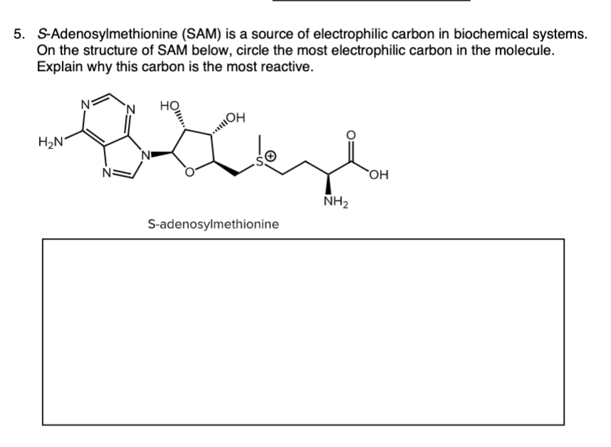 Solved 5. S-Adenosylmethionine (SAM) is a source of | Chegg.com