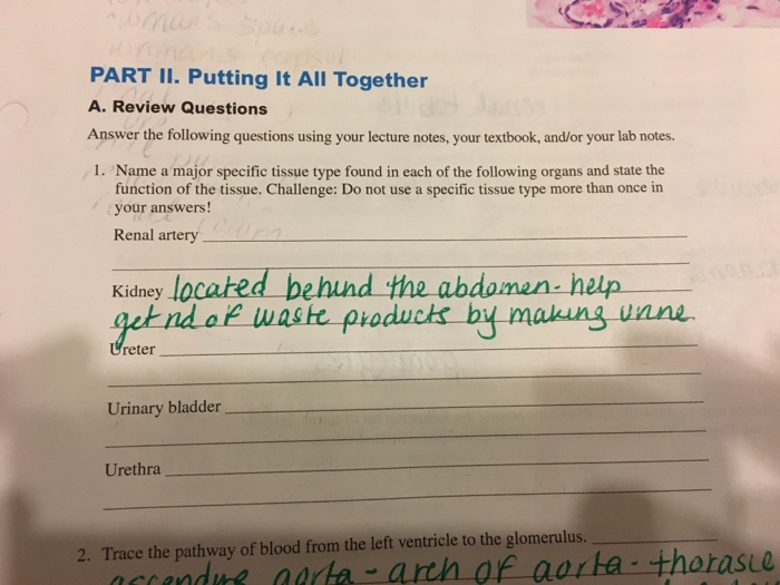 Solved PART II. Putting It All Together A. Review Questions | Chegg.com