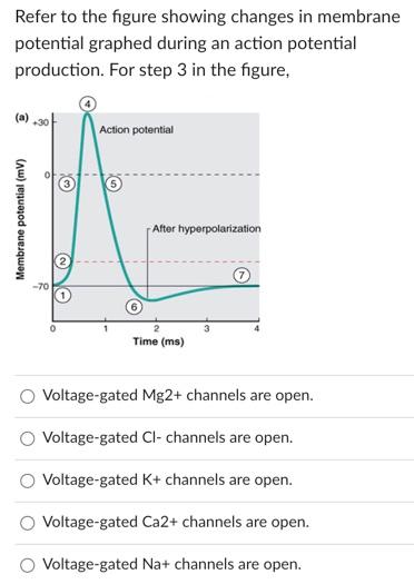 Solved Refer to the figure showing changes in membrane | Chegg.com