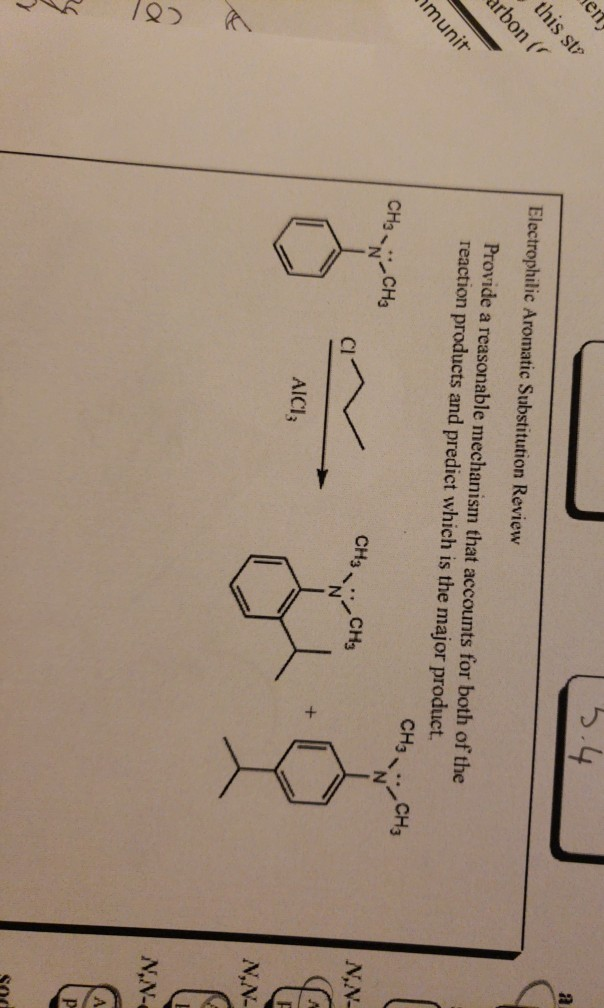 Solved Electrophilic Aromatic Substitution Review Provide a | Chegg.com