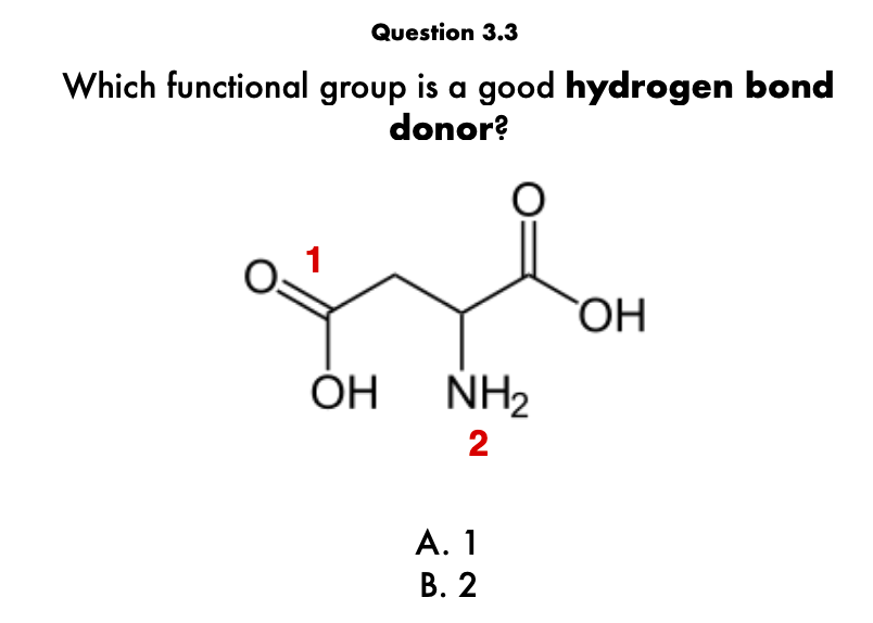 Solved Question 3.3 Which functional group is a good | Chegg.com