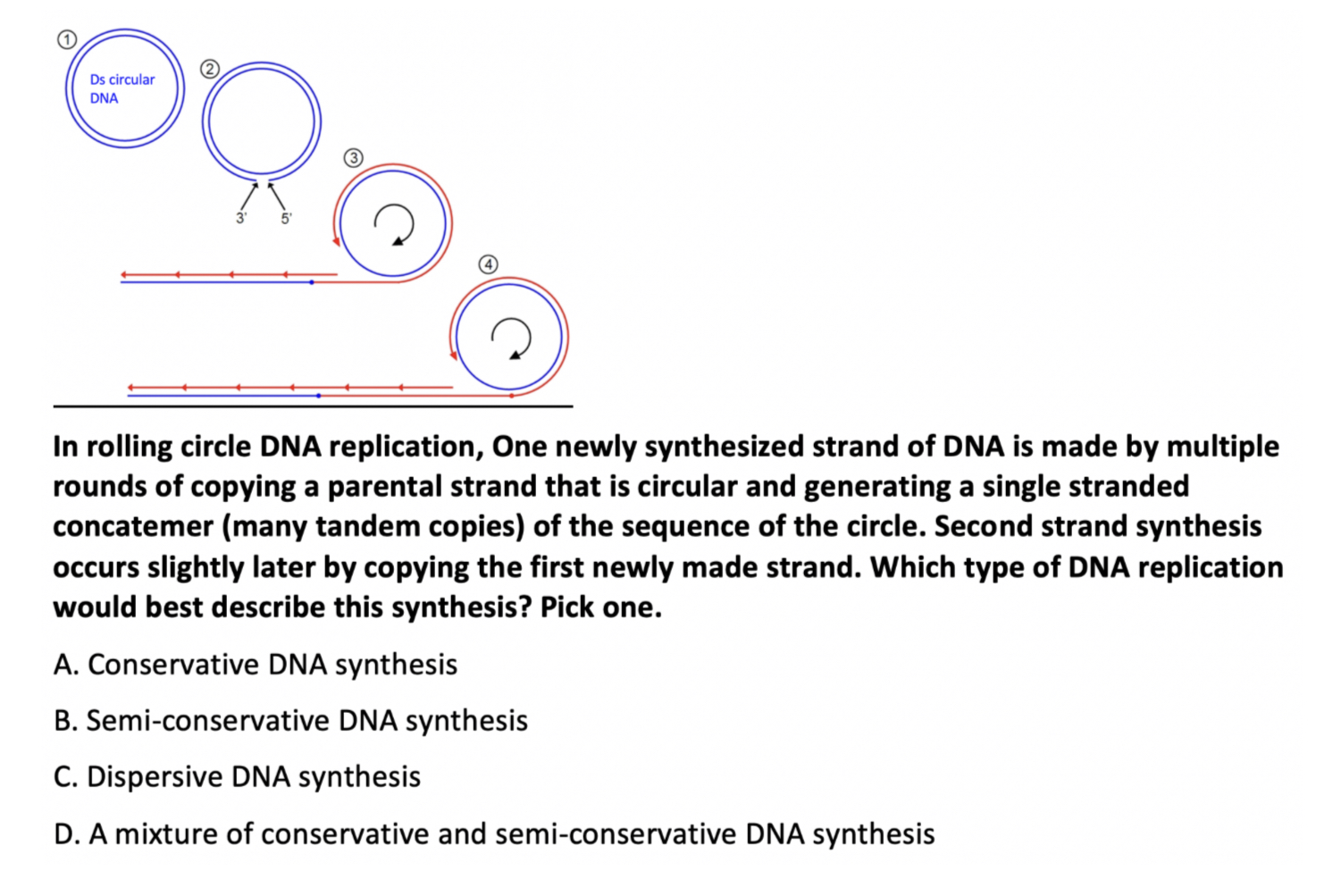 Solved In rolling circle DNA replication, One newly | Chegg.com