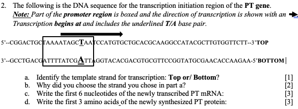 Solved 2. The following is the DNA sequence for the | Chegg.com
