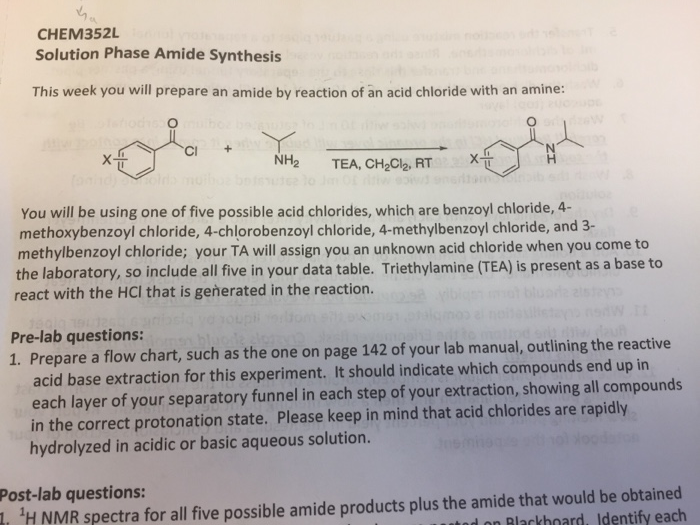 Solved ty CHEM352L Solution Phase Amide Synthesis This week | Chegg.com