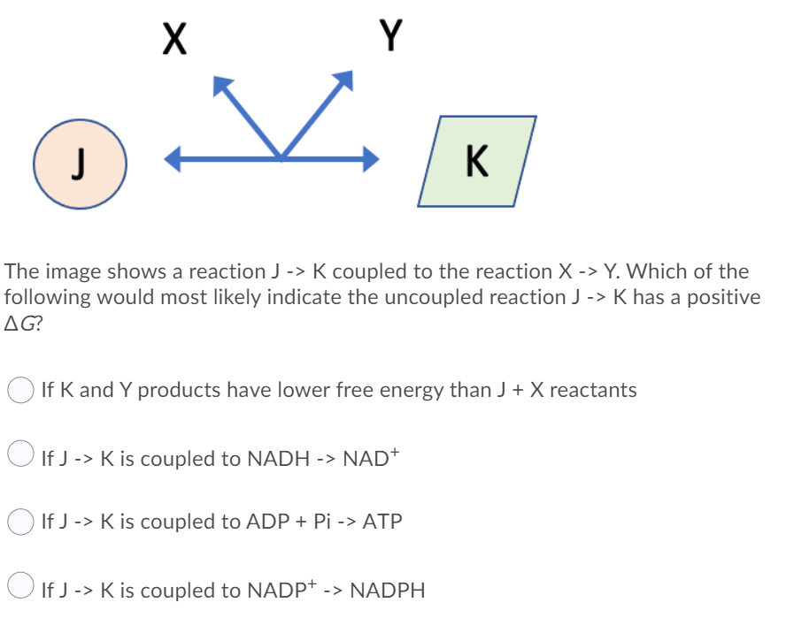 Solved x Y v J K The image shows a reaction J -> K coupled | Chegg.com
