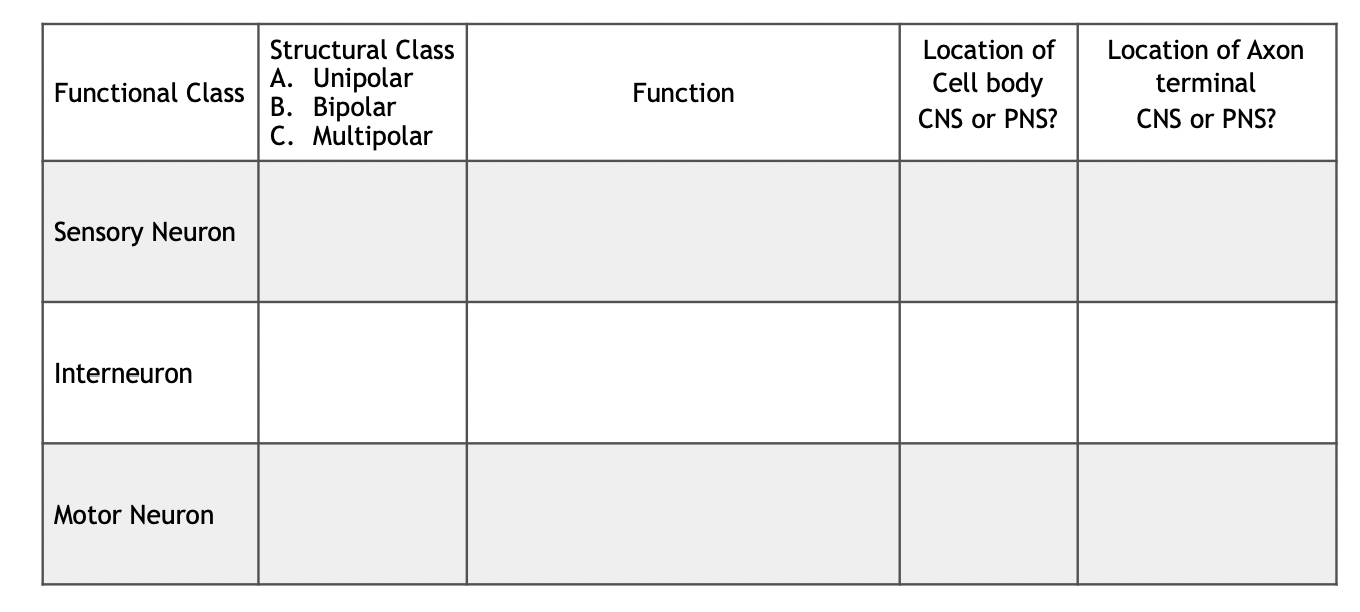 Solved \begin{tabular}{|l|l|l|l|l|} \hline Functional Class | Chegg.com