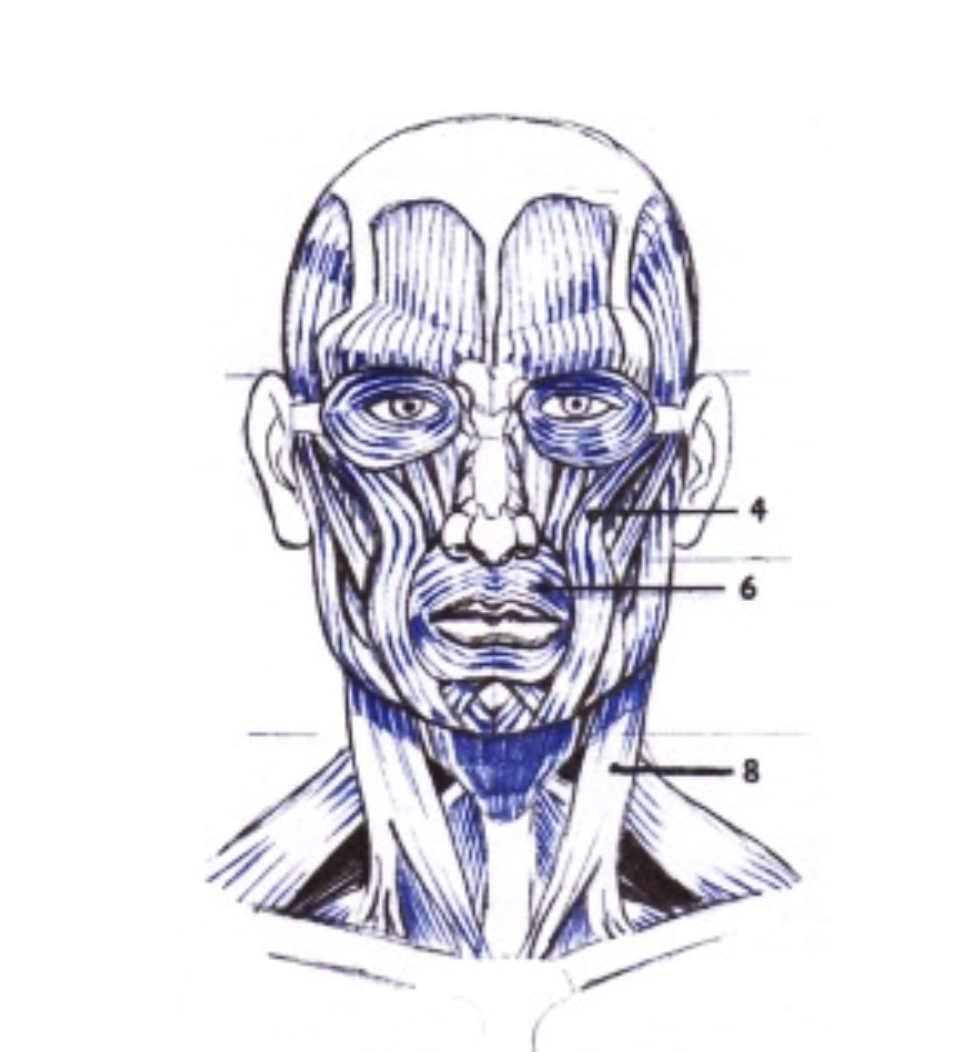 Solved Identifies: 1. 2. 3. | Chegg.com