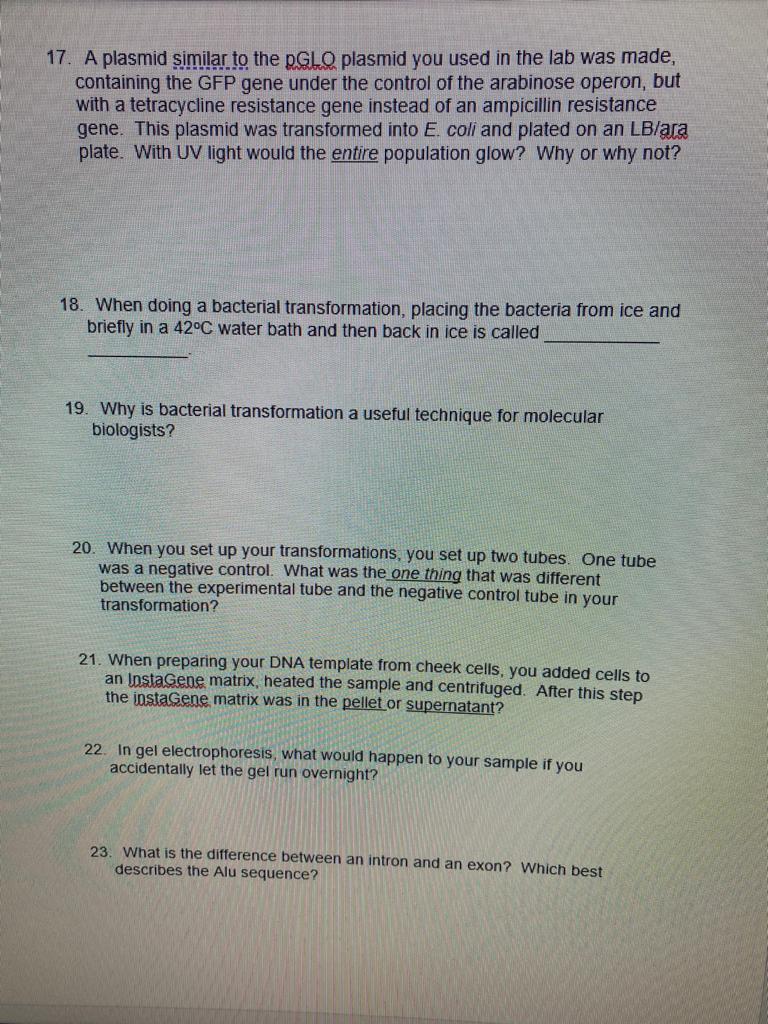 Solved 17. A plasmid similar to the DGLQ plasmid you used in | Chegg.com