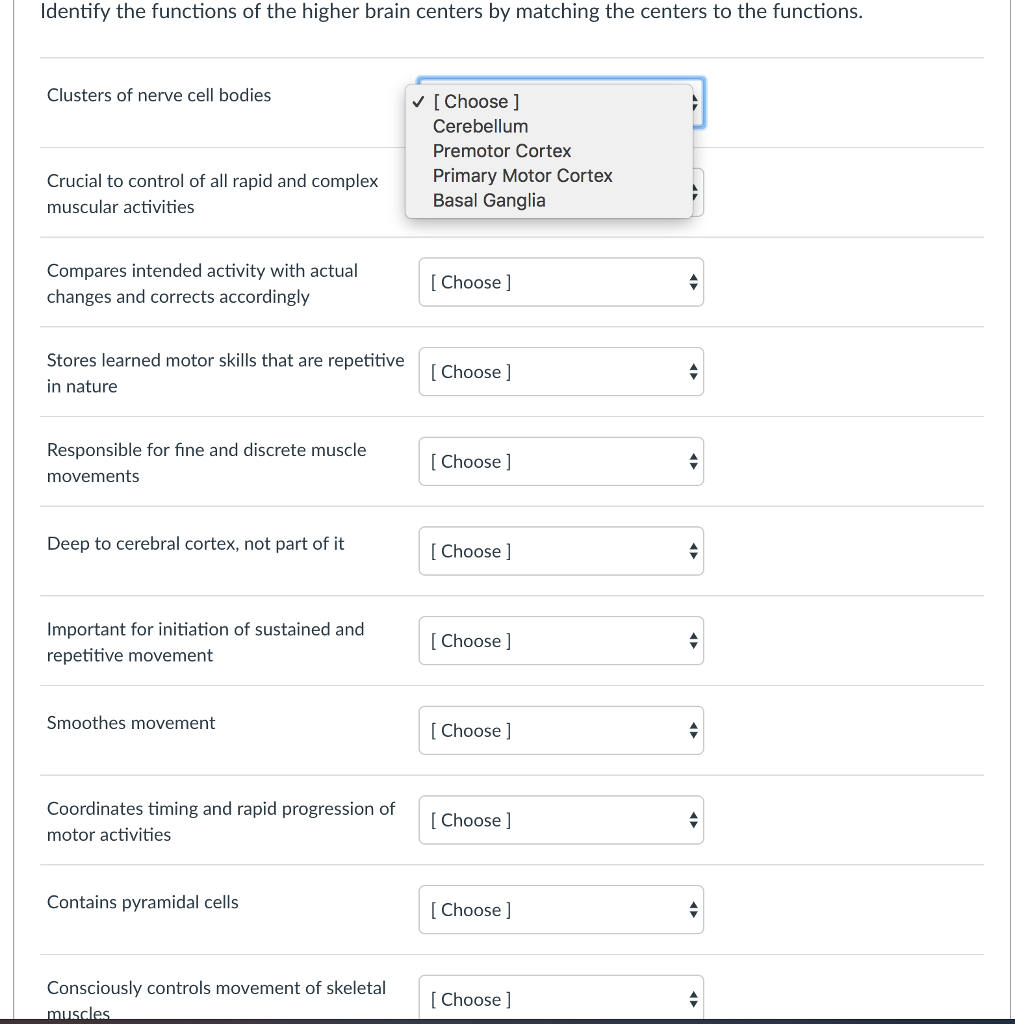 Solved Identify the functions of the higher brain centers by | Chegg.com